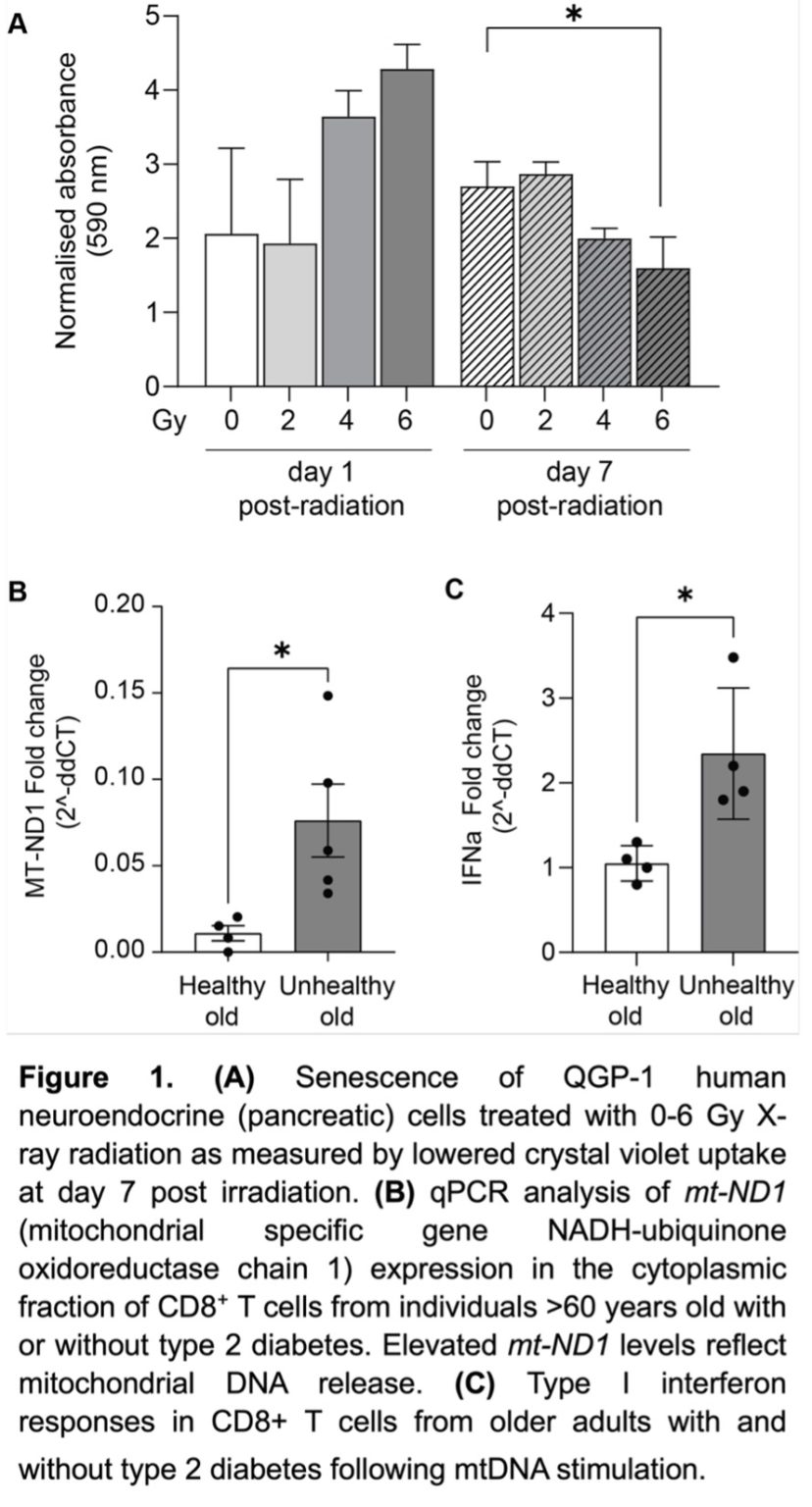 Enhancing X-ray and Molecular Radiation Therapy Outcomes by Targeting ...